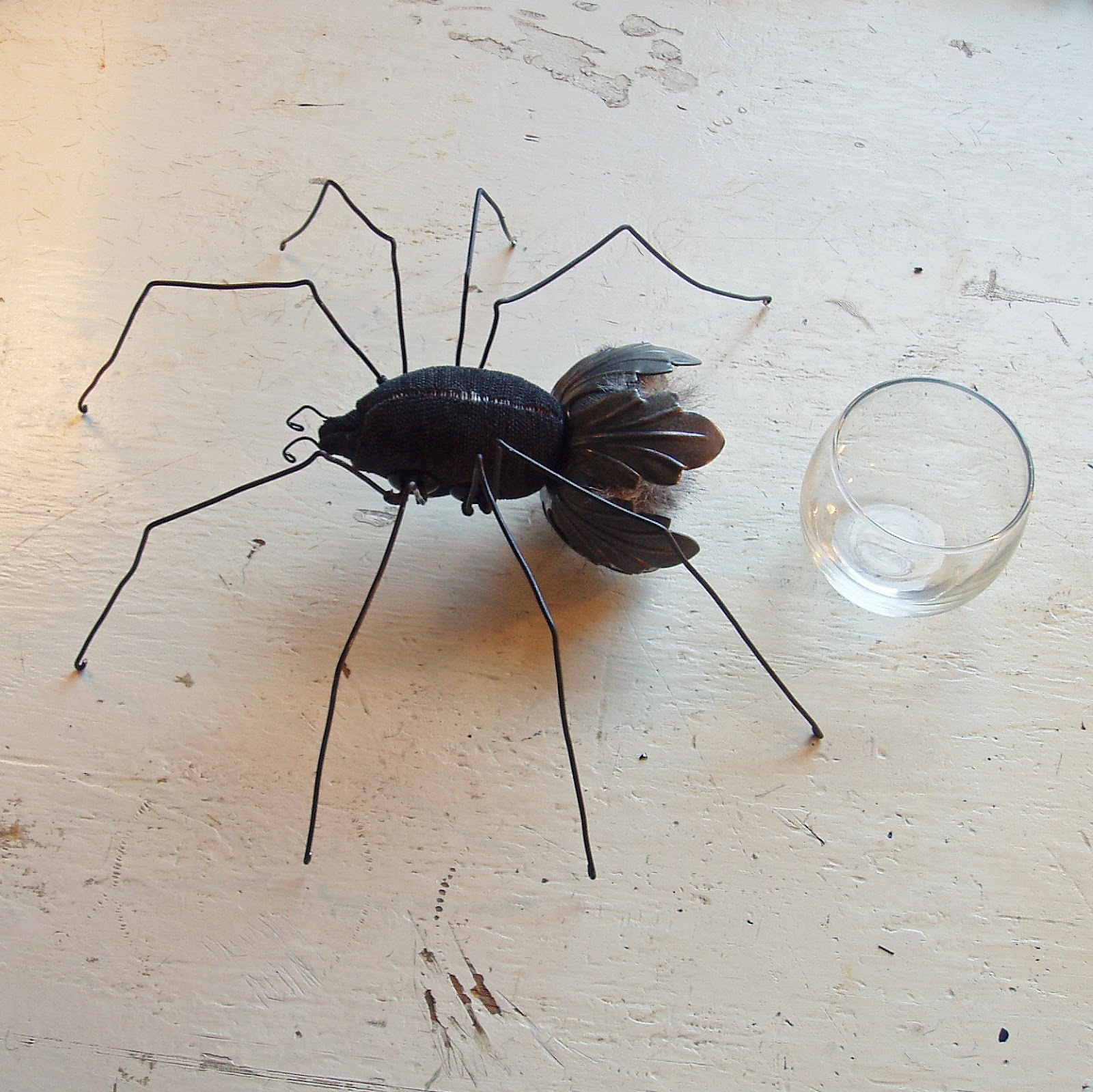 Glass bottomed spiders........