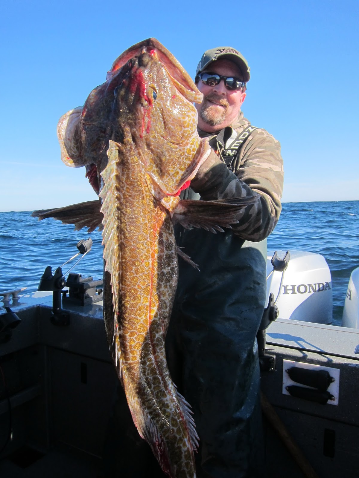 Todds Extreme Fishing: Giant Westport lingcod and halibut!