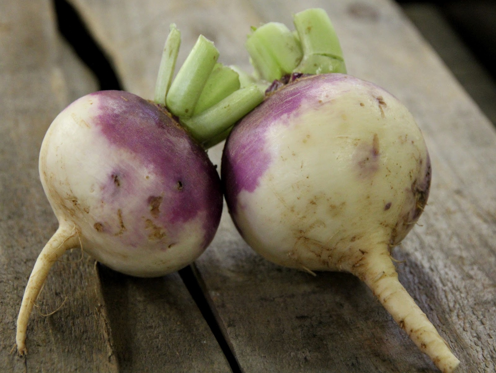 BISHOP'S ORCHARDS CSA BLOG