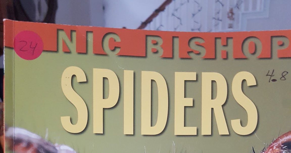 Spiders by Nic Bishop