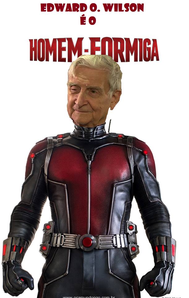 O Verdadeiro Homem-Formiga