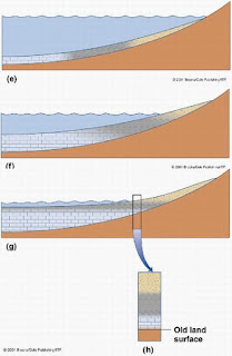 Batuan Sedimen yang Merekam Transgresi dan Regresi Laut