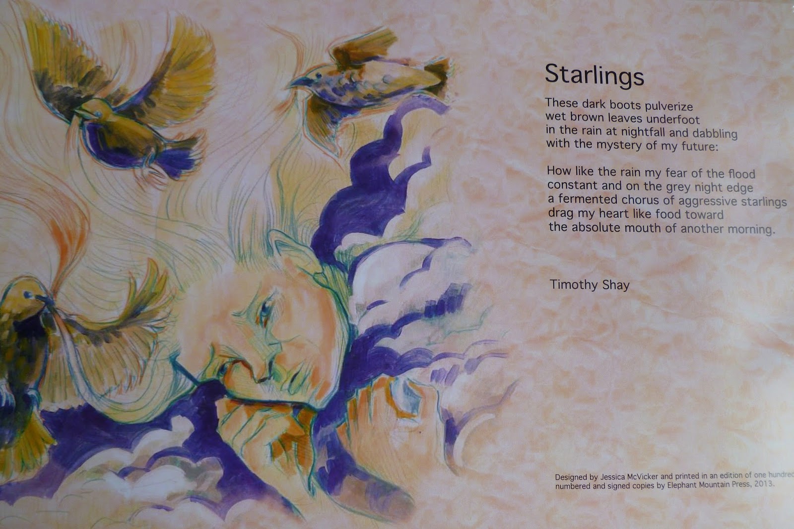 corned-beast-speaks: STARLINGS - Limited Edition Broadsheet