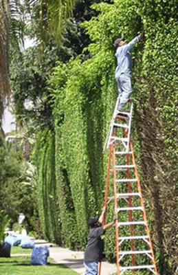 The Eavestrough Company: Ladder Safety!