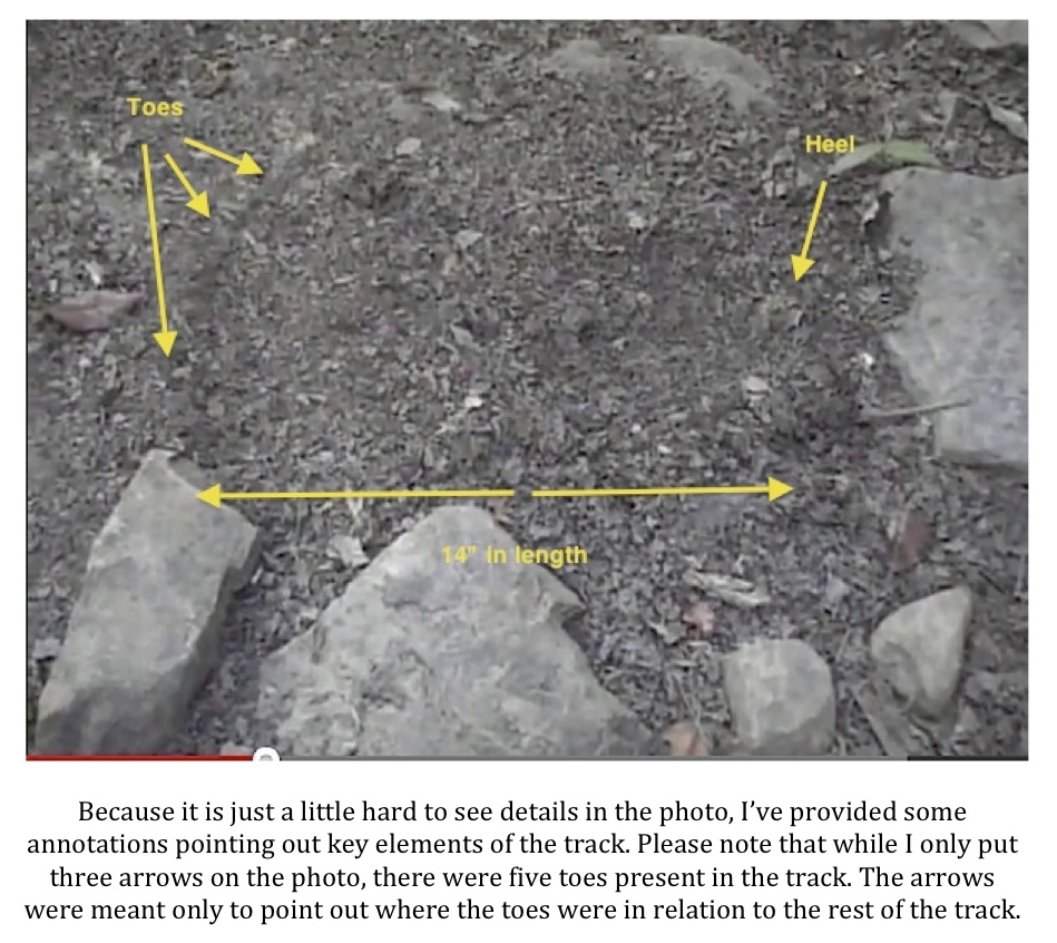 Texas Cryptid Hunter: An Amazing Trip