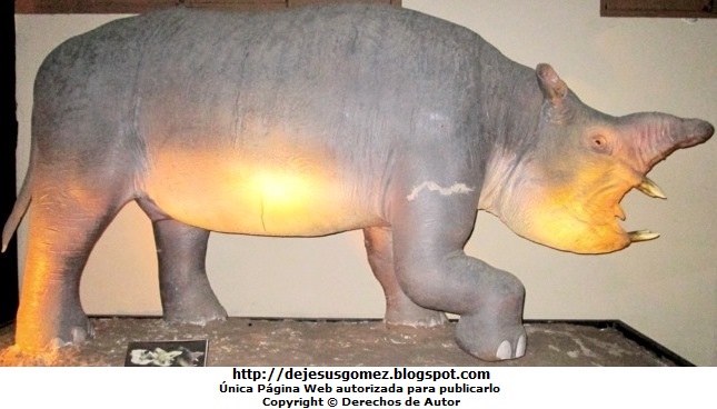 DIBUJOS FOTOS ACROSTICO Y MAS: RESEÑA DEL PIROTERIO DE BAGUA CON FOTO