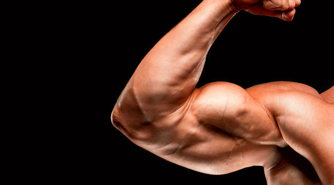 Grow your Biceps NOW! [Anatomy and Exercises Explained]