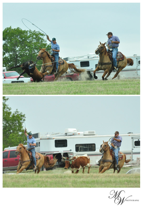 Missy Whitfield: Pasture Roping 101