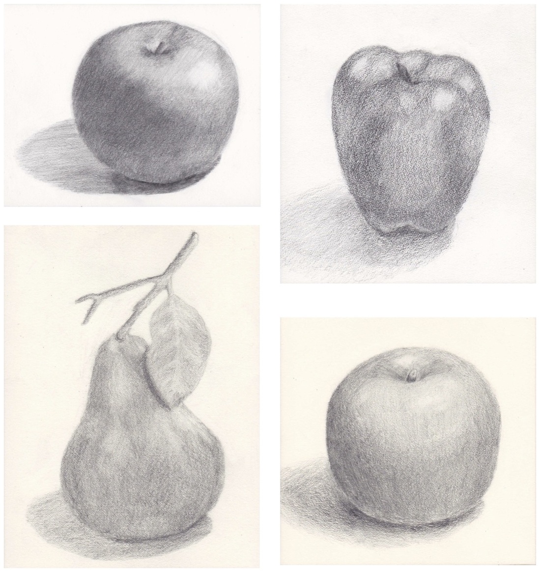 The Rolling Artroom: Apple and Pear Drawings - 2nd semester