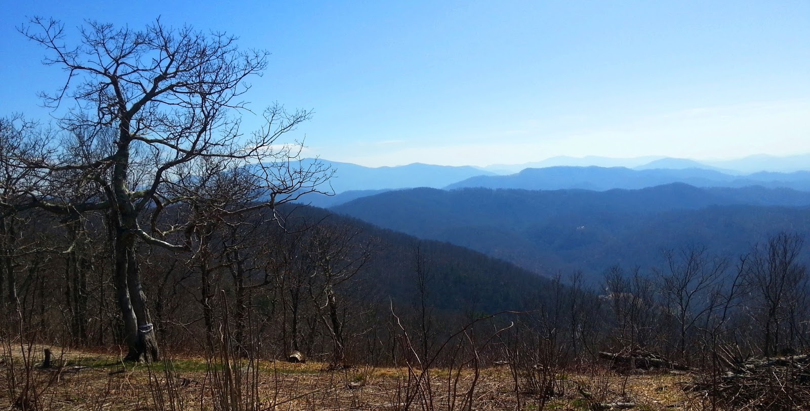 Smoky Scout's Hiking Adventures: AT in TN: Beauty Spot & Unaka Mountain