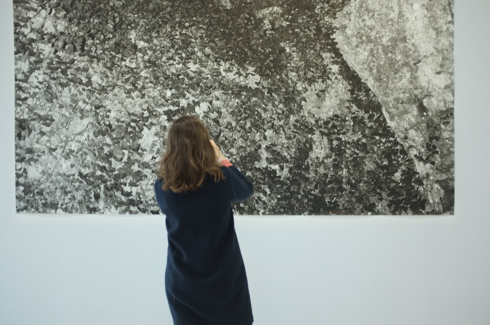 mieke willems: dirk braeckman