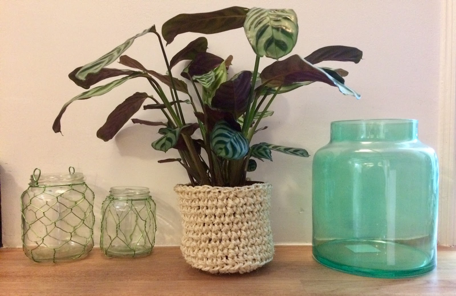 Crocheted Plant Pots