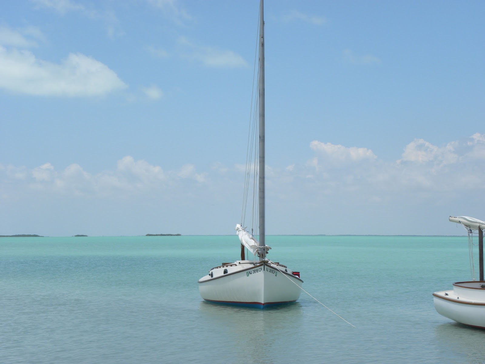 MY LIFE IN THE FLORIDA KEYS AND BEYOND: Nest Key Revisited...East Wind ...
