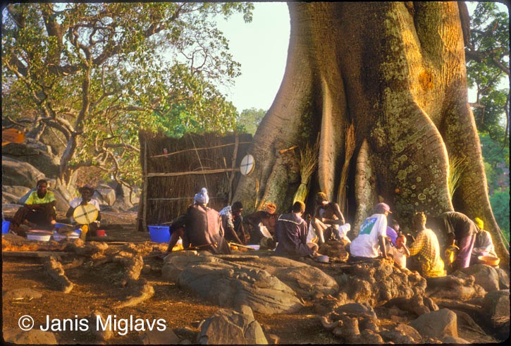 ARE WE THERE YET? Photographer Janis Miglavs : Winemaking Bedik tribe ...