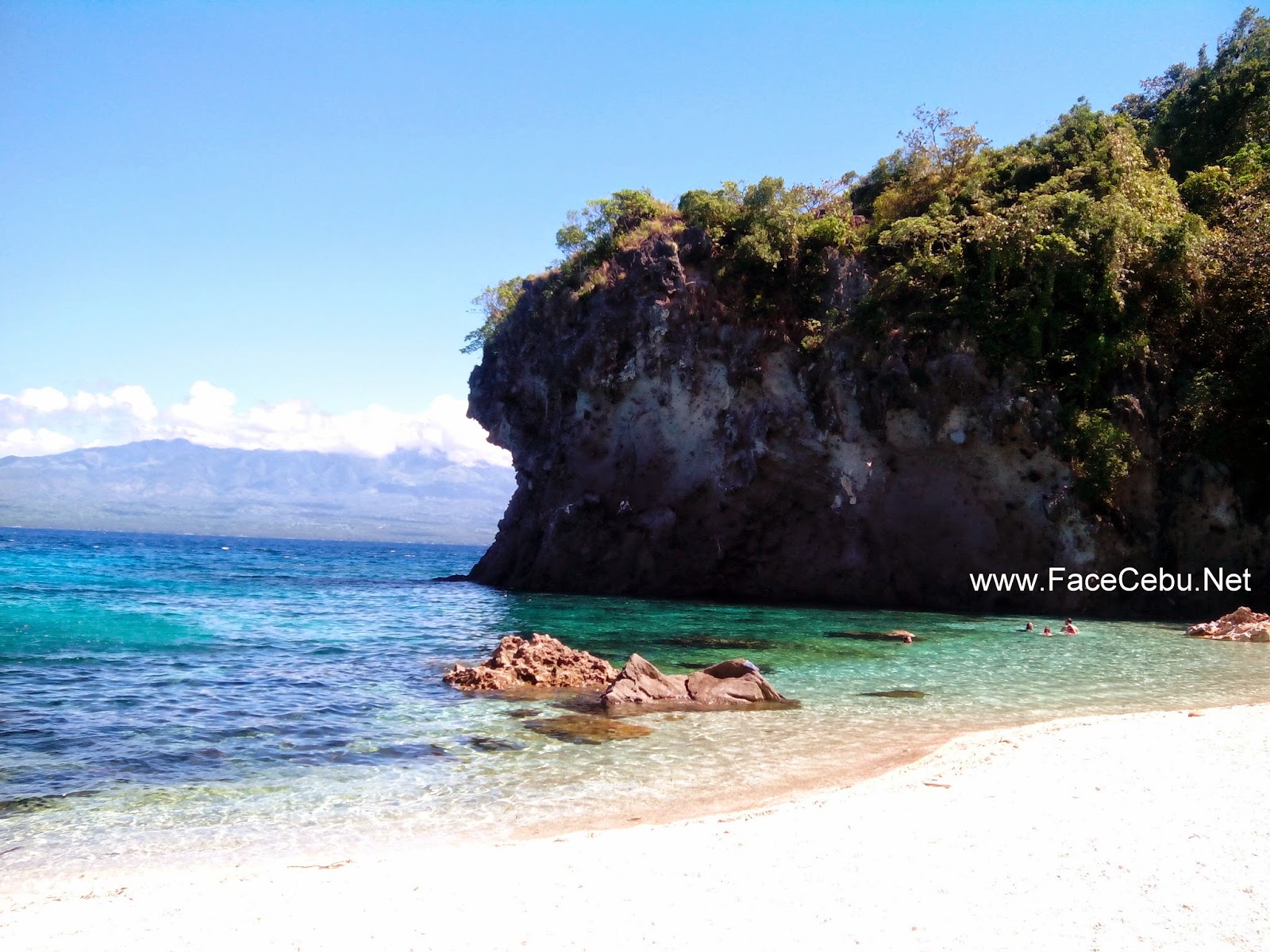bugITs and EUTS Post's Repository: PHOTOS: Apo Island In Negros ... bugITs and EUTS Post's Repository: PHOTOS: Apo Island In Negros ...