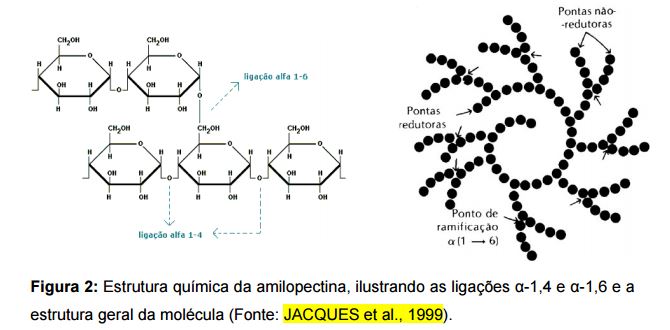 Nutrição Acessível: METABOLISMO DE CARBOIDRATOS - DIGESTÃO E ABSORÇÃO
