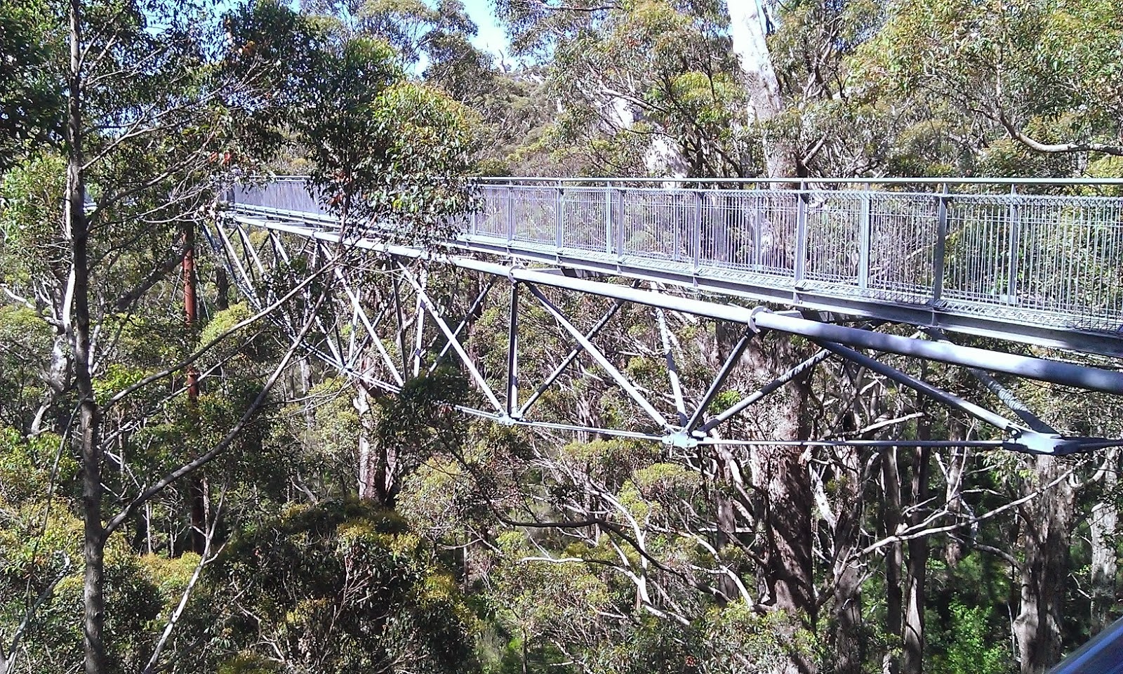 Perth-fect Ponderings: Going Up