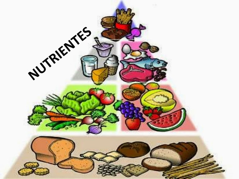 Educación Nutricional: 2015