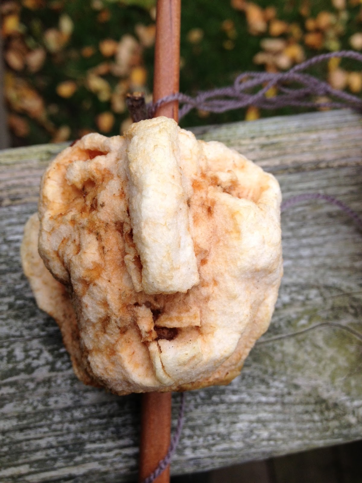 Caker Cooking: Apple Head Doll Competition