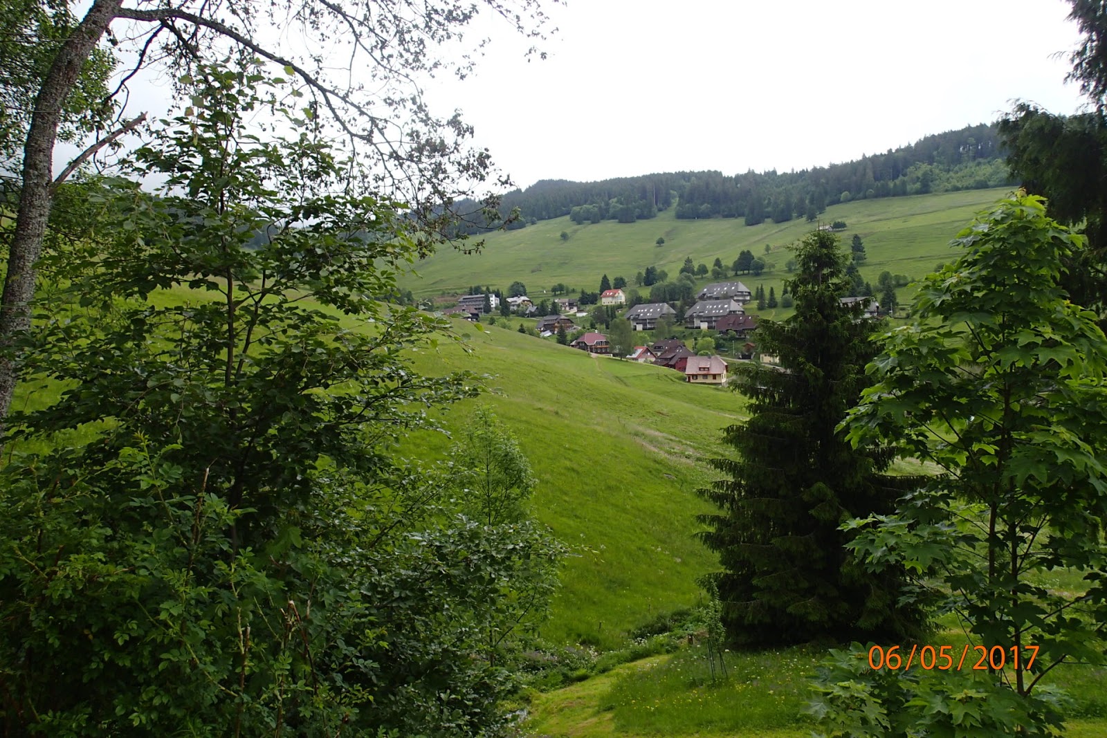 After Nature: Our visit to the Heidegger cabin (Heidegger's hut)