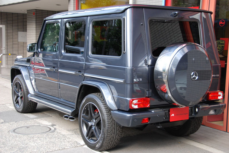 * LOVG * I Love Gelandewagen: G63 AMG / grey