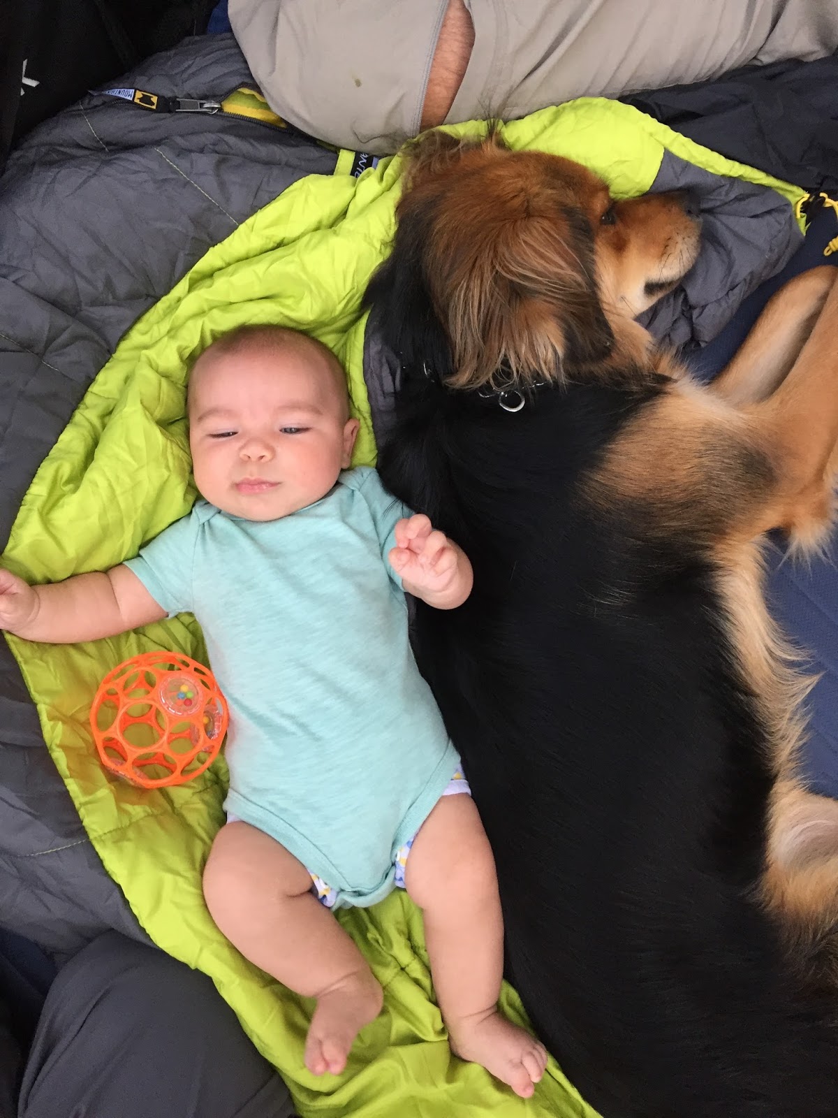 Mr. Lundberg - 6th Grade Science and Innovation: Meet Mr. Lundberg