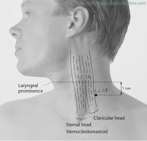 Jarum Sakti: Meridian Paru-paru & Usus Besar