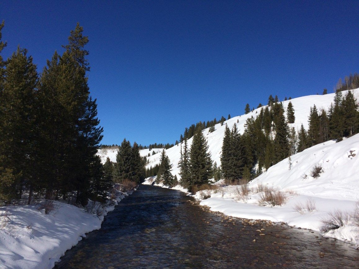 The Road Goes Ever On: Snowmobiling Greys River, Alpine, Wyoming