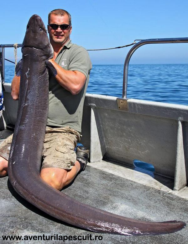 Pasiunea Pescuitului: Tipar de 44 de kg!