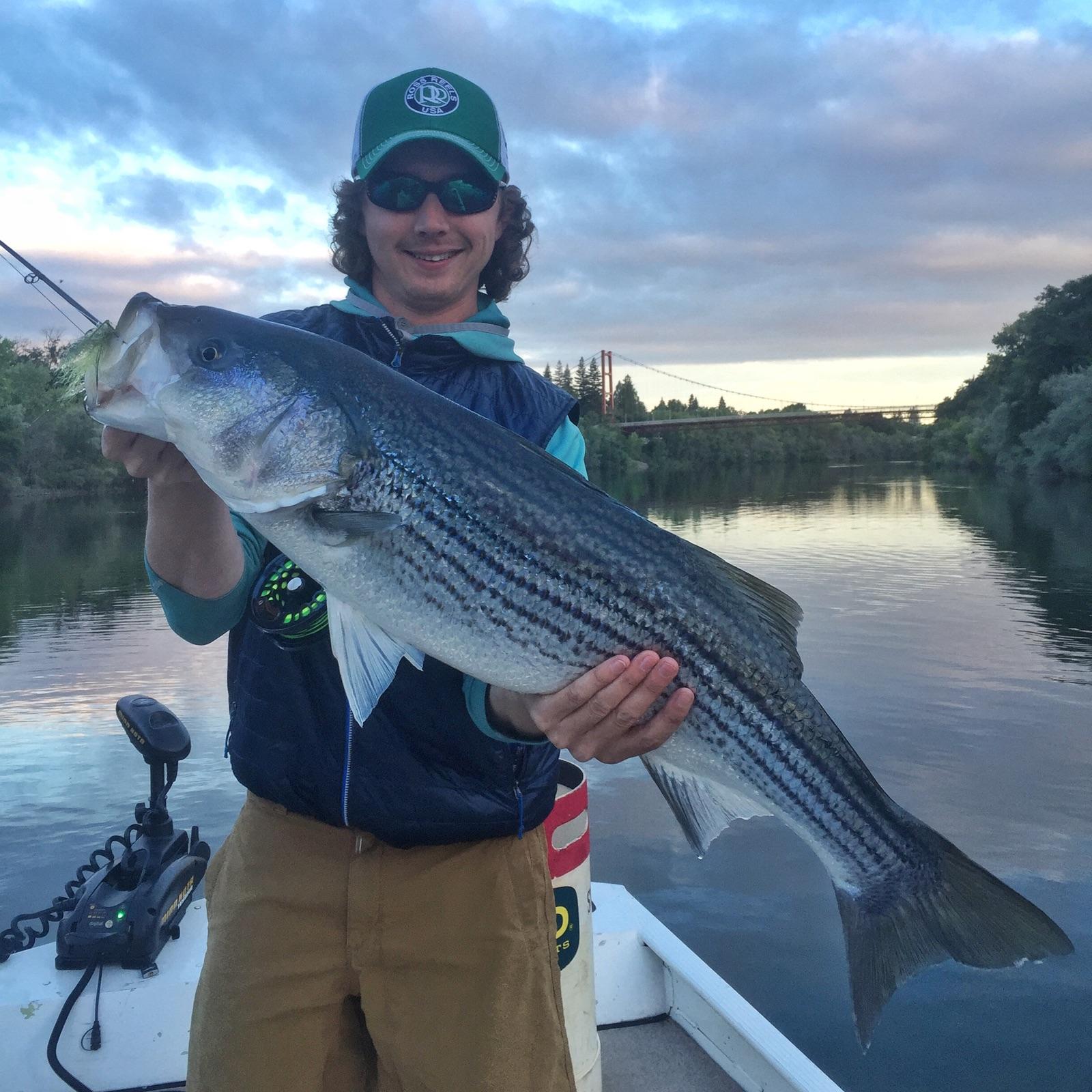 Fishing On American River - Unoisy Fishing