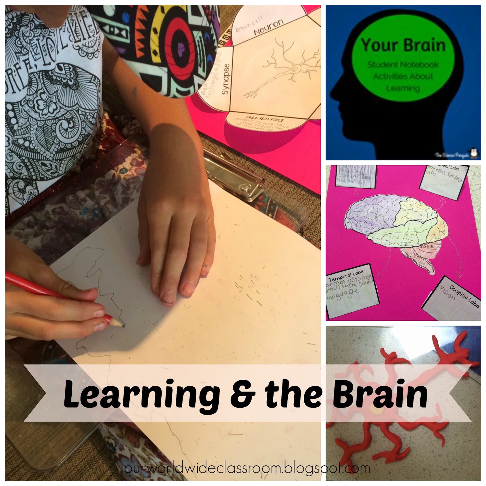 Learning and the Brain