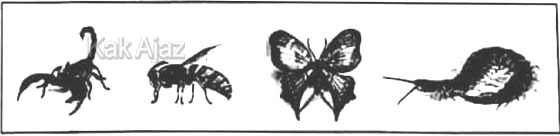 Pembahasan Biologi UN 2018 No. 6 - 10