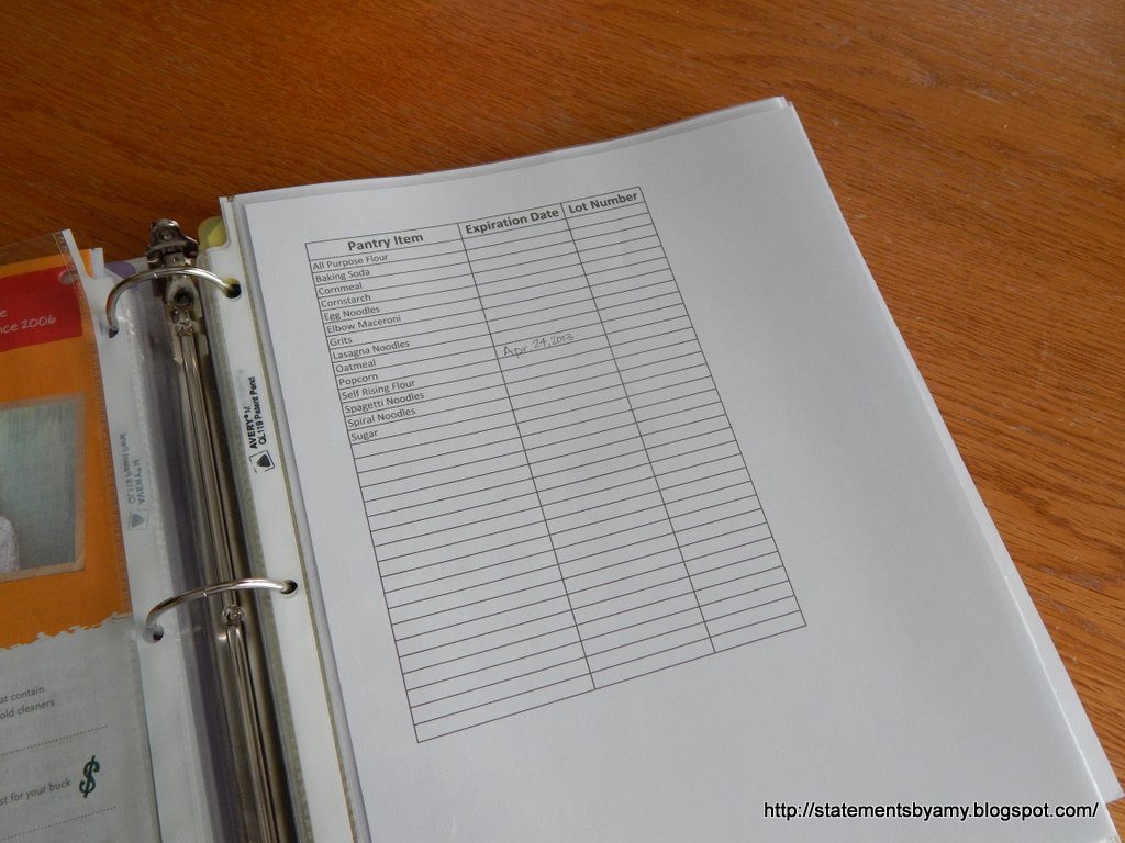 Statements: DIY Family Notebook