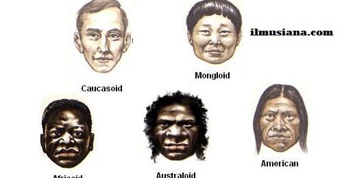 Forms of Social Differentiation: Racial Differentiation - Ilmusiana