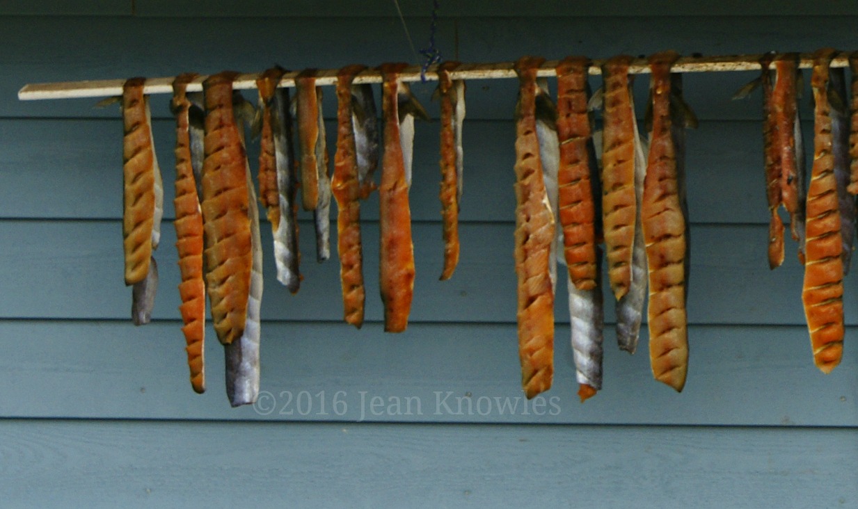 Adventures on the Eastern Edge: February 2016