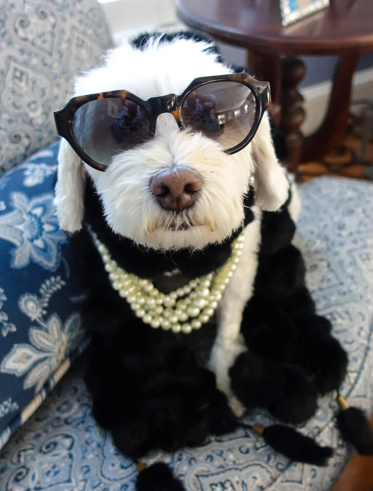 Doin' Nuttin', Fig Newtons, & First Dates - Preppy Empty Nester F