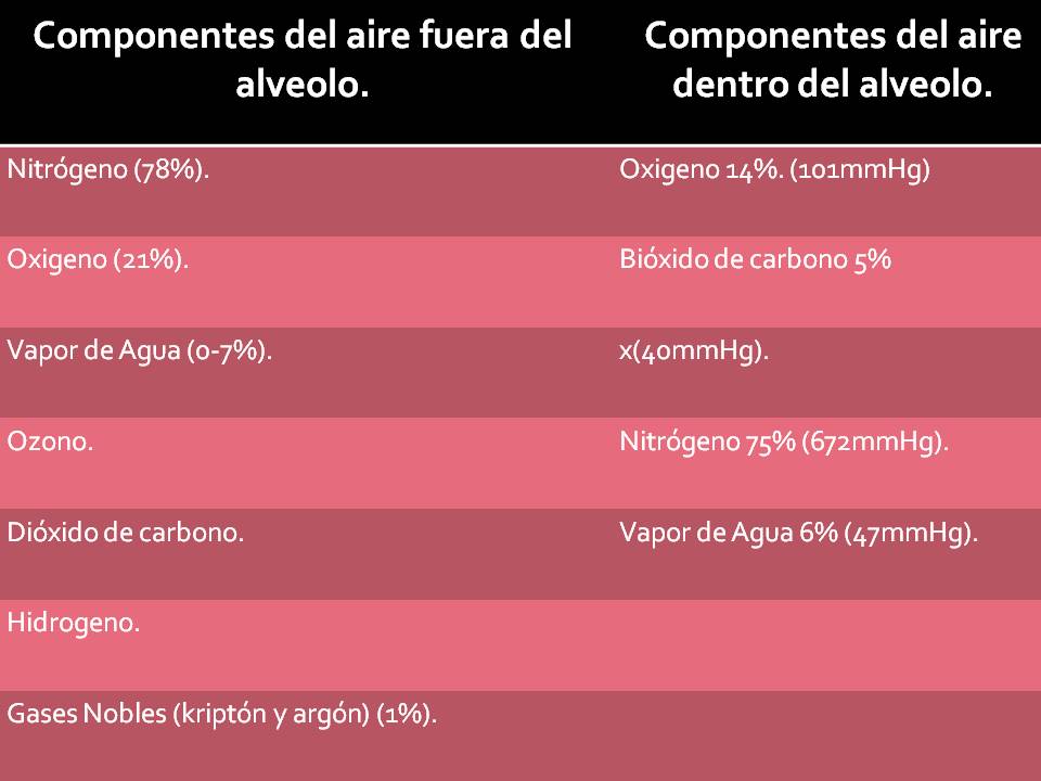 Fisiología con Elena Chávez.: Composición del aire atmosférico y alveolar.