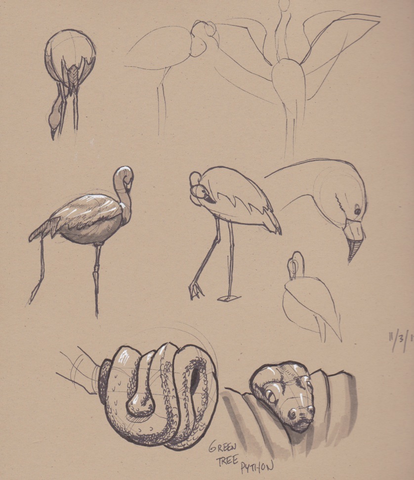 Gina Draws . . .: Dynamic Sketching Week 5 & 6