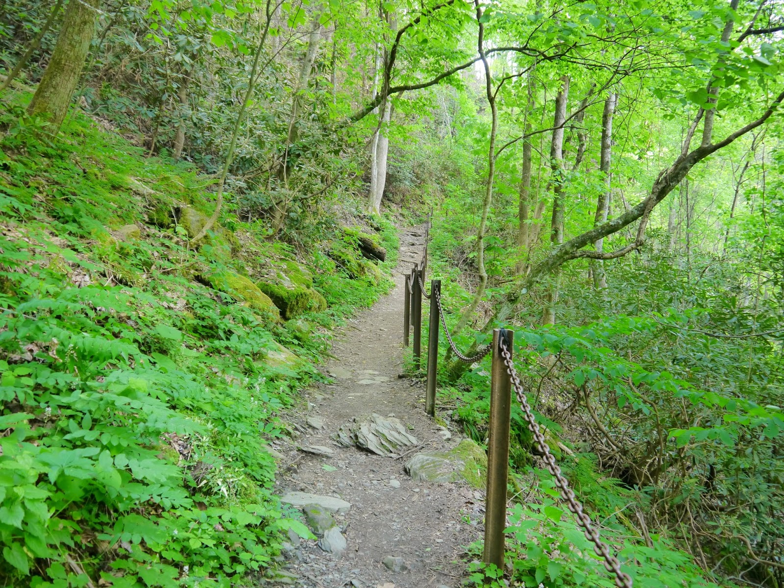 American Travel Journal: Bald River Falls and Kahuna Falls - Cherokee ...