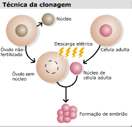 Bioética: Clonagem Modulo I