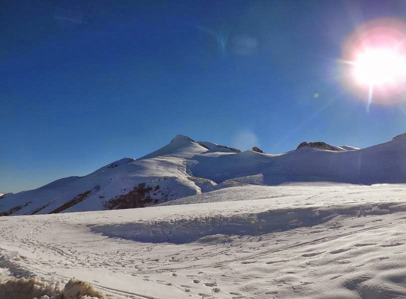 Wild Nature of the Cantabrian Mountains (Spain): The Liebana, a ...