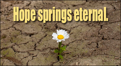 begin...begin again: hope springs eternal