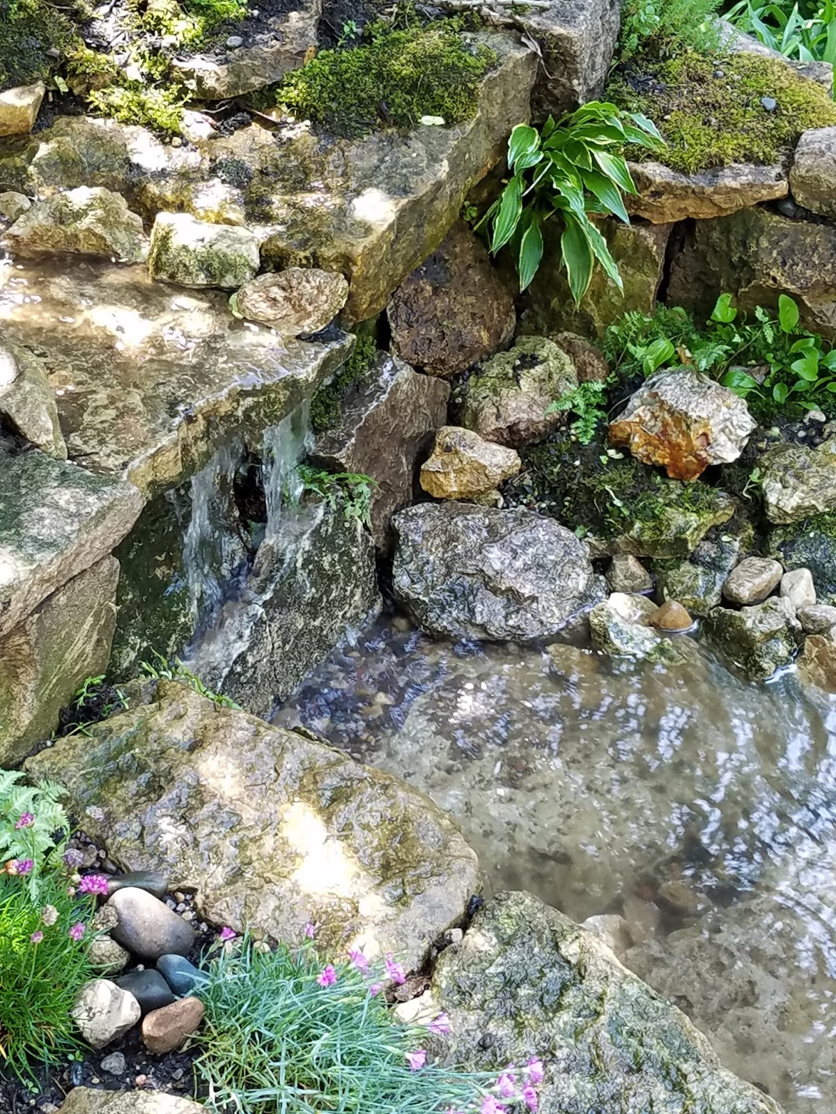 OakWooD Garden: Water Feature