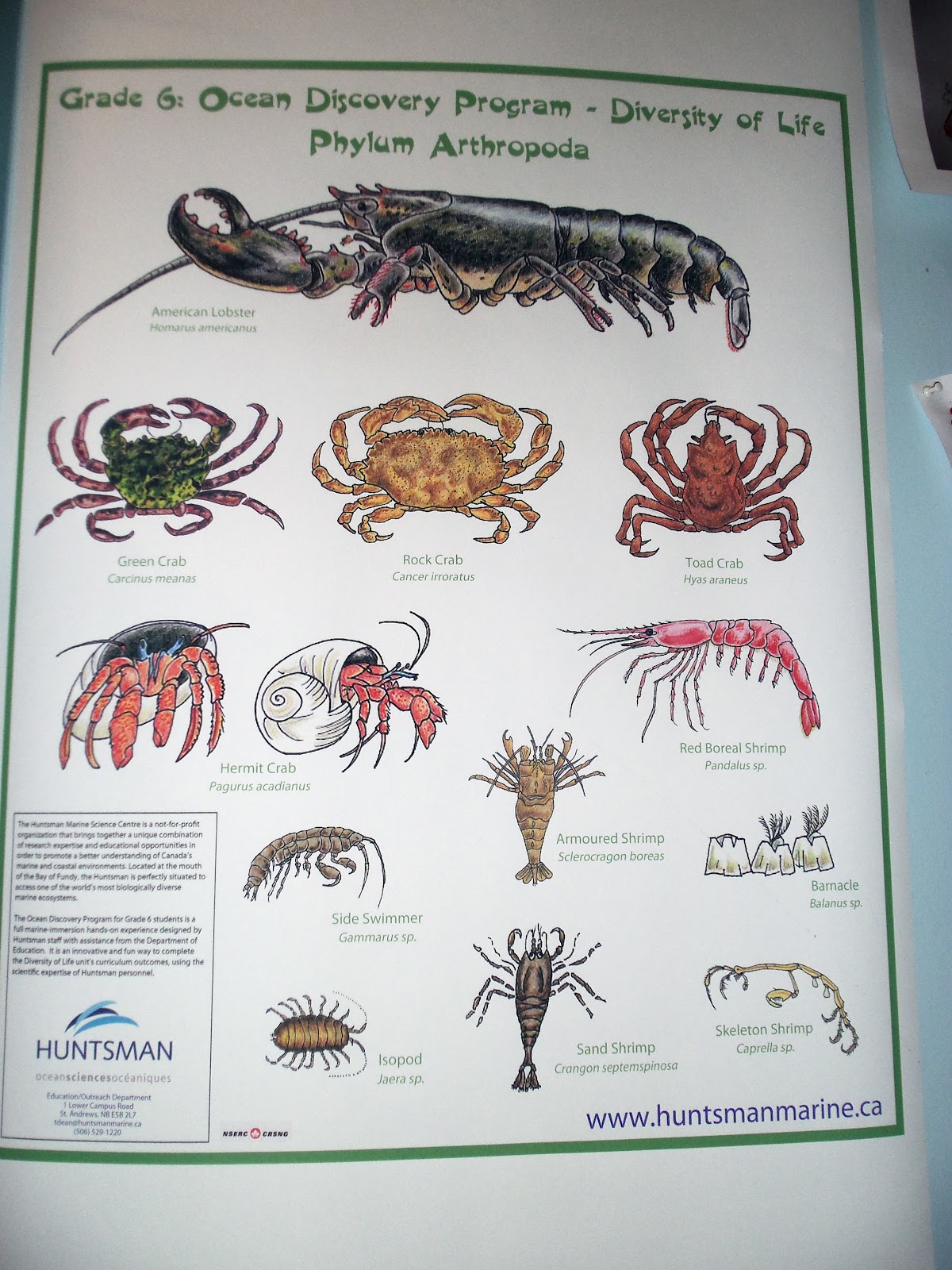 Huntsman Marine Science Centre: March 2012