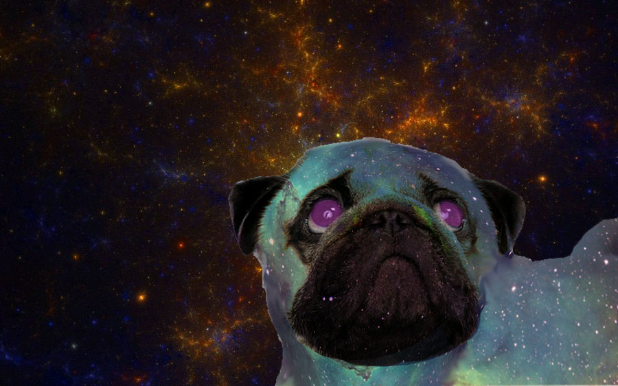 Jody's Fantastic Blog of Art And Such: SPACE PUGS