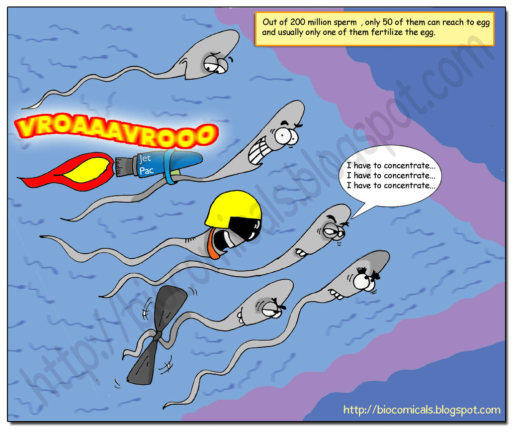 How Does NFP Work? Iva Explains... ~ BirthKuwait