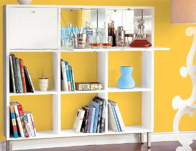 change of scenery: make shift bookcase bars.