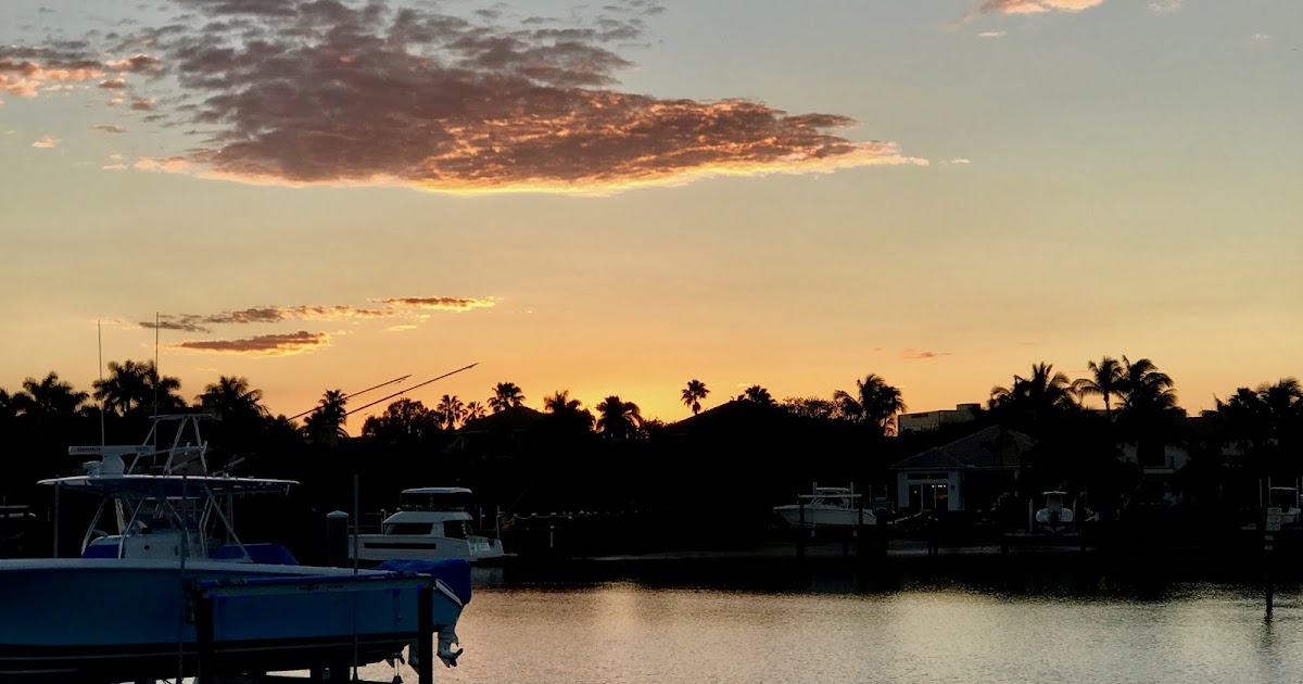 A Bob's Life: Thursday Sunset