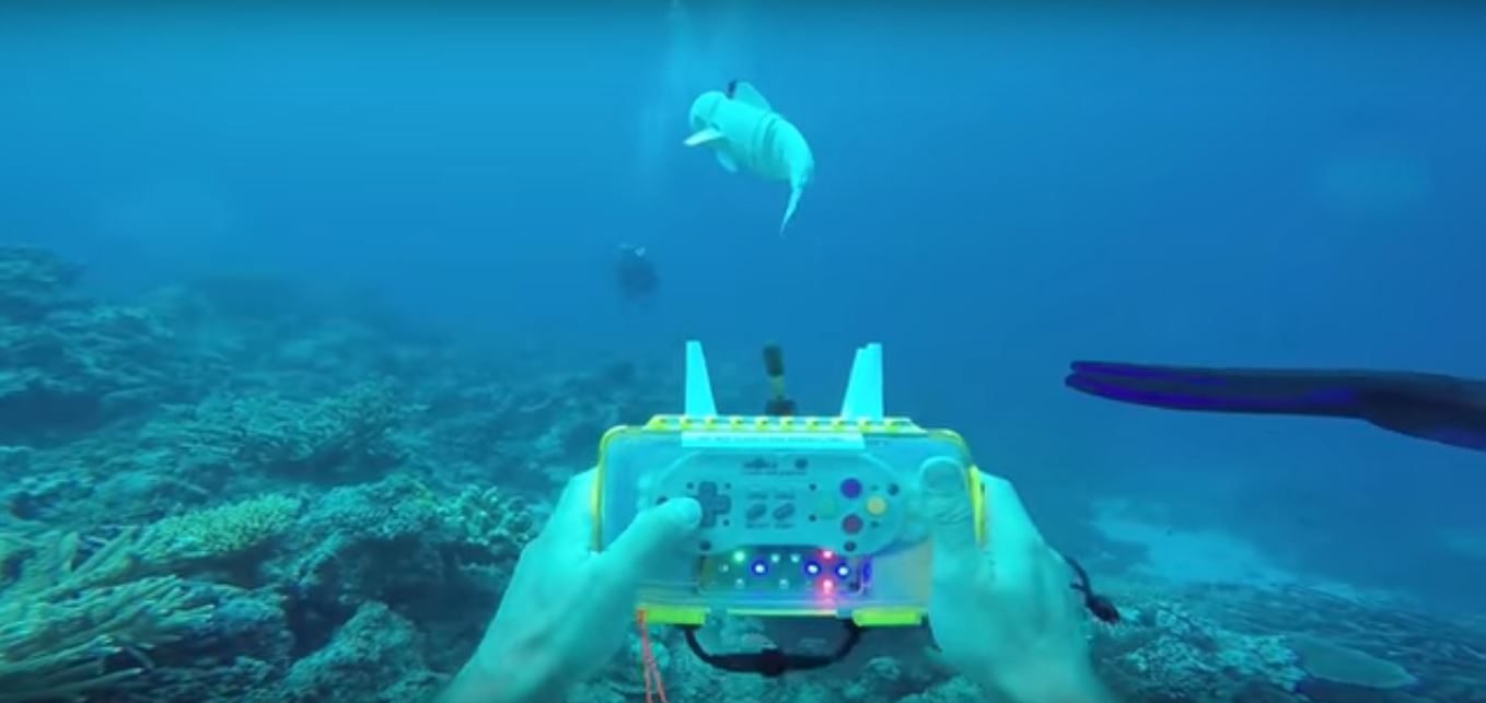SoFi: A Soft Robotic Fish!
