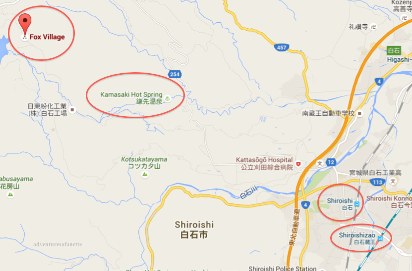 Japan: Foxes, Foxes and more Foxes!! A visit to the Zao Fox Village ...